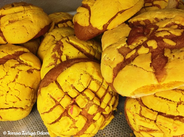 It’s National Concha Day! | Southern Señora